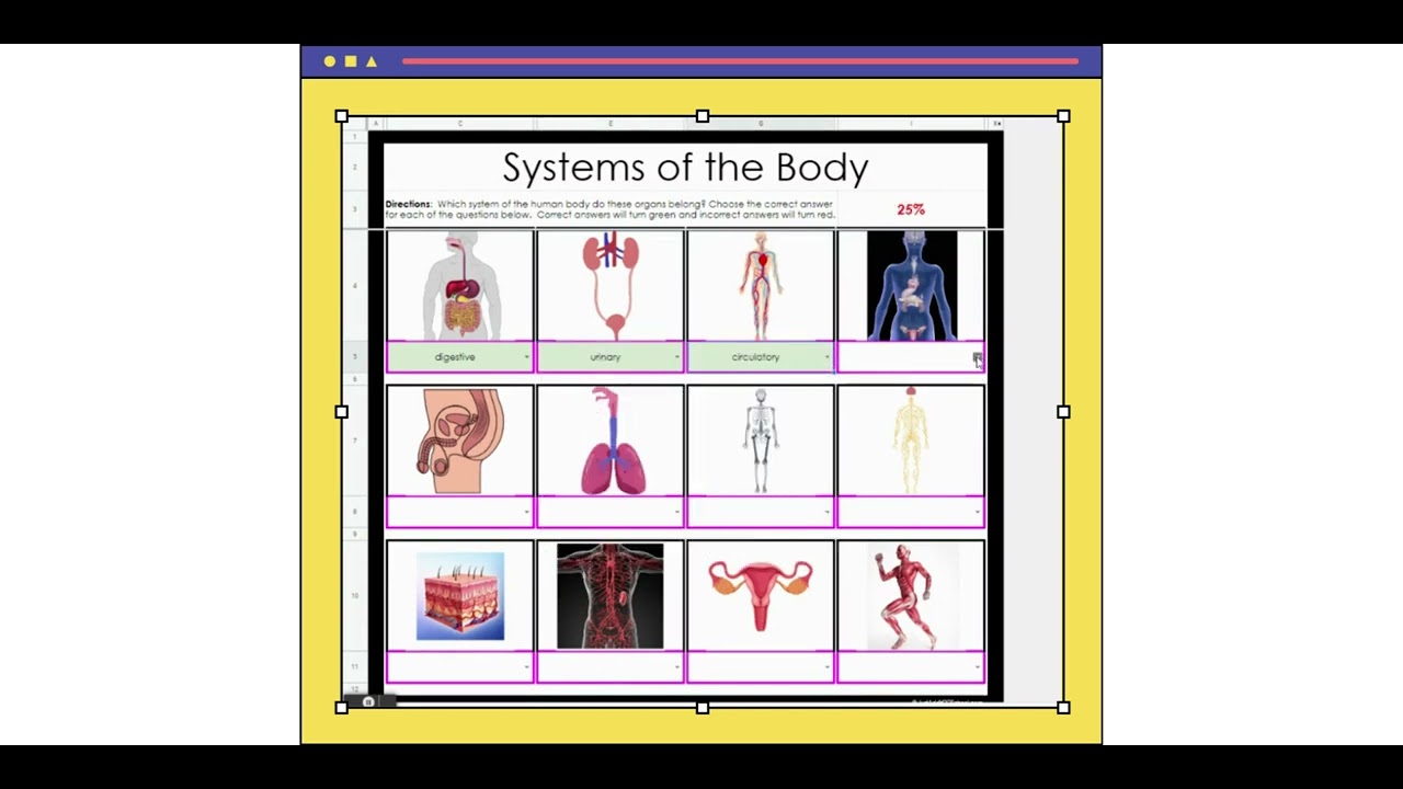 Free Human Body Systems Digital Worksheet