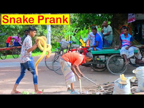 King Cobra Snake Prank ???? (Part 17) | Fake Snake Prank Video | 4 Minute Fun