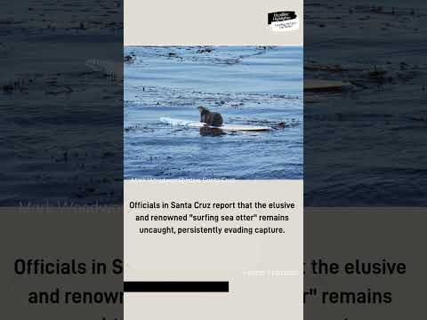 Headline Highlights Daily Science News July 13, 2023