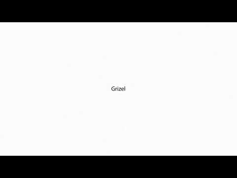 Grizel PRONUNCIATION
