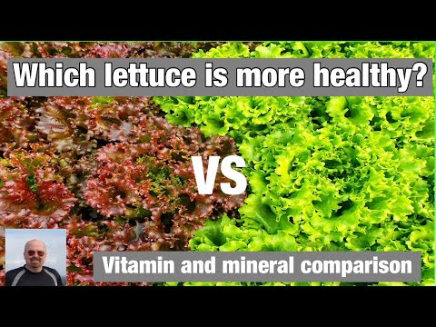 Which lettuces are healthier?