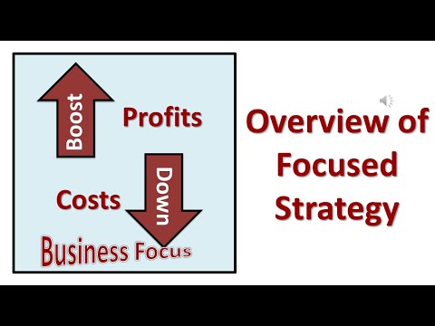 Overview of Focused Strategy
