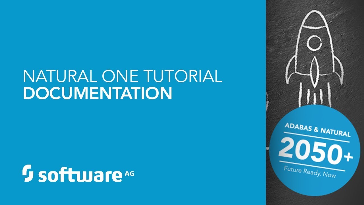 Natural ONE Tutorial - Documentation