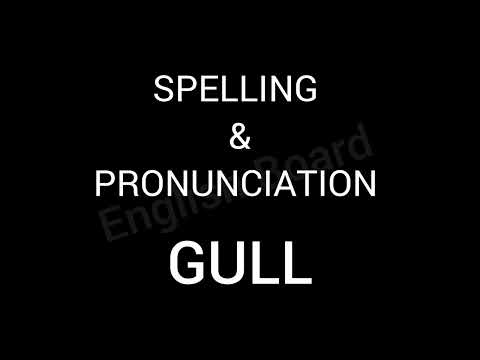 GULL|Spelling, Pronunciation, Meaning, Synonyms
