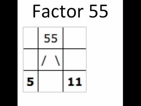 Factor A 55