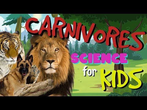What is a Carnivore? | Science for Kids