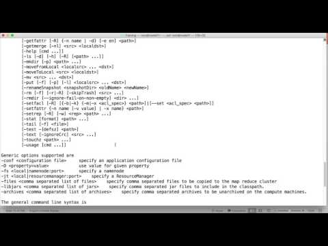 HDFS Commands - hadoop fs command overview, help and appendToFile