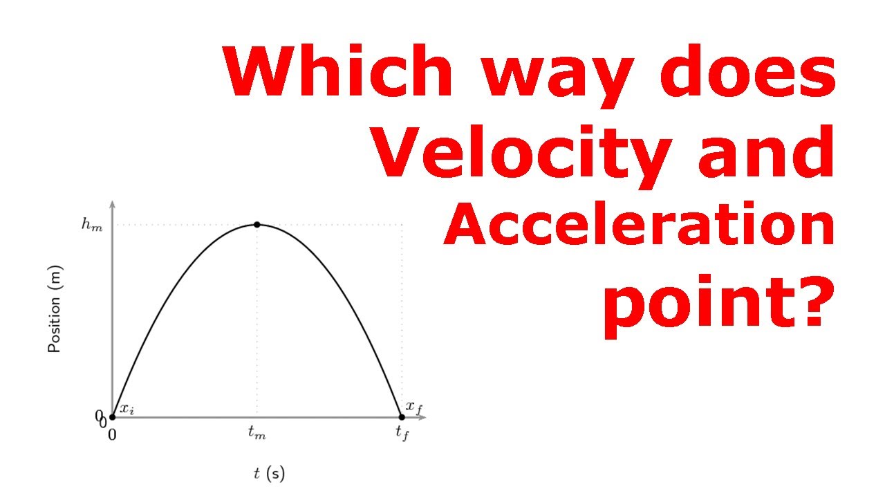 Conceptual Questions - Velocity and Acceleration in Projectile Motion