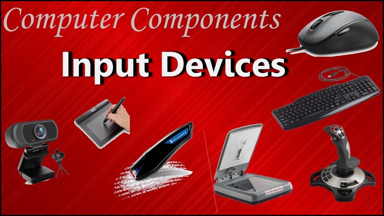 INPUT DEVICES  COMPUTER SCIENCE CLASS 6 UNIT 1