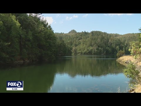 Marin's water district reservoirs 106% of normal
