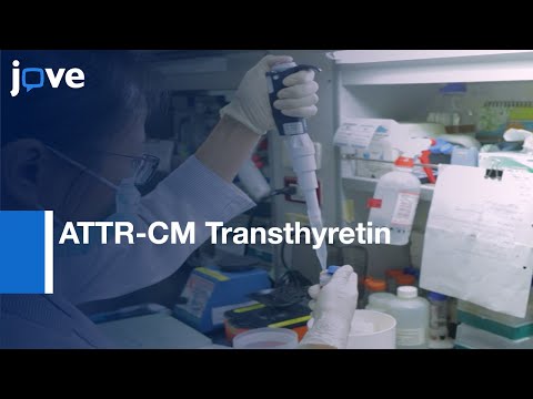 ATTR-CM Transthyretin Amyloidosis: Genetic Analysis | Protocol Preview