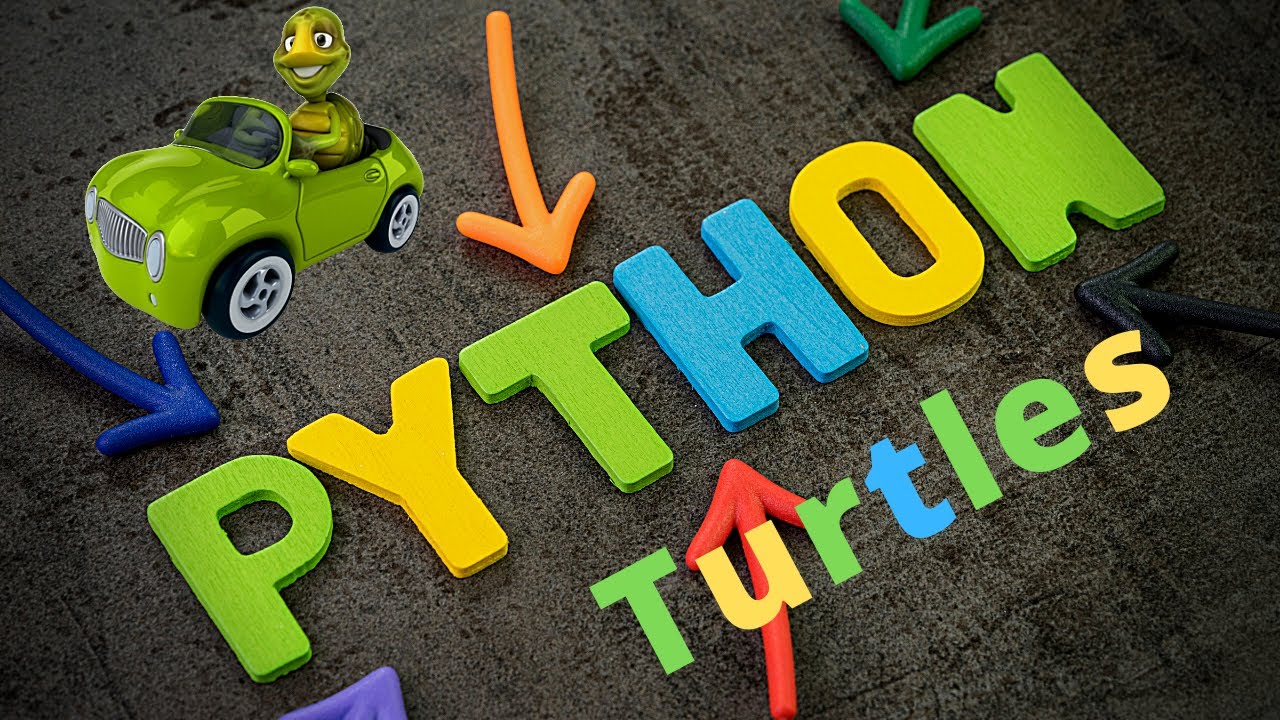 Python Turtles: Shape Generator