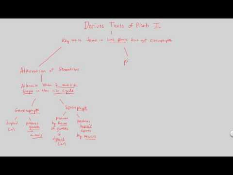 PD I - Derived Traits I | BIALIGY.com