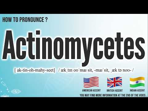Actinomycetes Pronunciation | How to Pronounce (say) Actinomycetes CORRECTLY | Medical dictionary