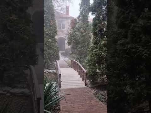the snowstorm in Ukraine, winter, snow
