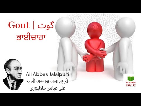 Gout Meaning in Urdu | Gout | Sub Caste | گوت | ਭਾਈਚਾਰਾ | Ali Abbas Jalalpuri | #SubCaste #shorts