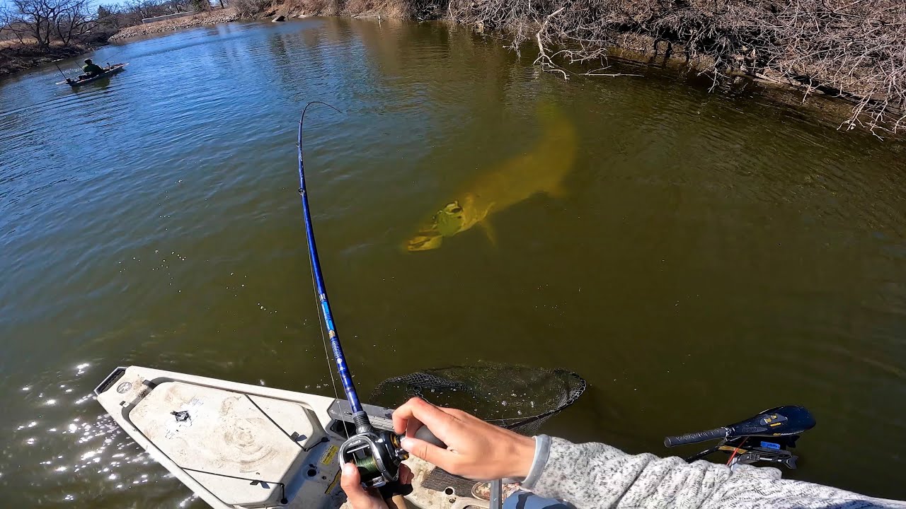 Fishing a SMALL RIVER for GIANT MUSKIES! (12 MUSKY IN ONE DAY)