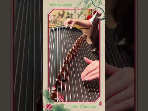 learn something new #guzheng