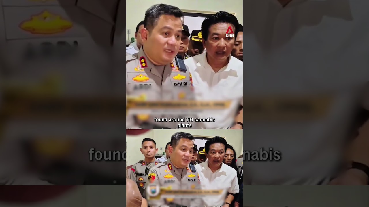 Indonesian police raid 'professional' home-based cannabis farm in East Java