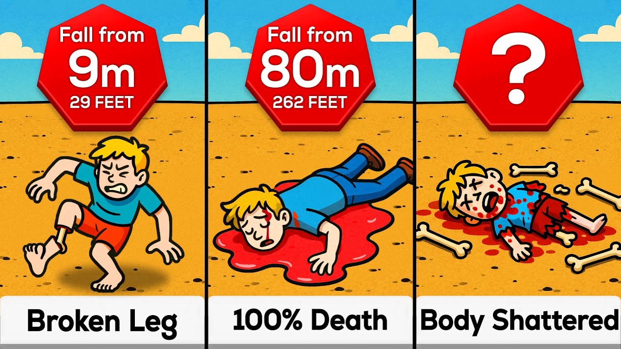 Comparison: You Falling From Every Height
