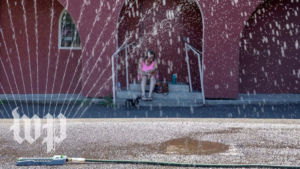 People and pets work to stay cool in historic heat wave