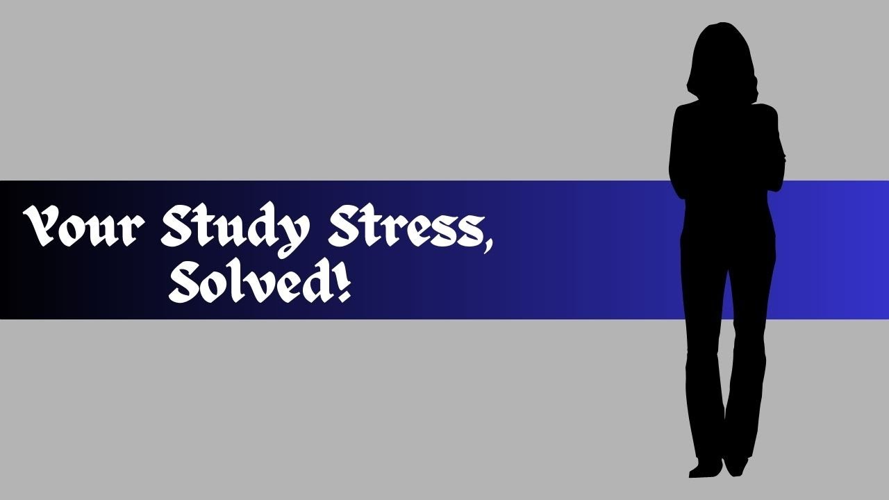 Assignment Help That Fits Every Student’s Need