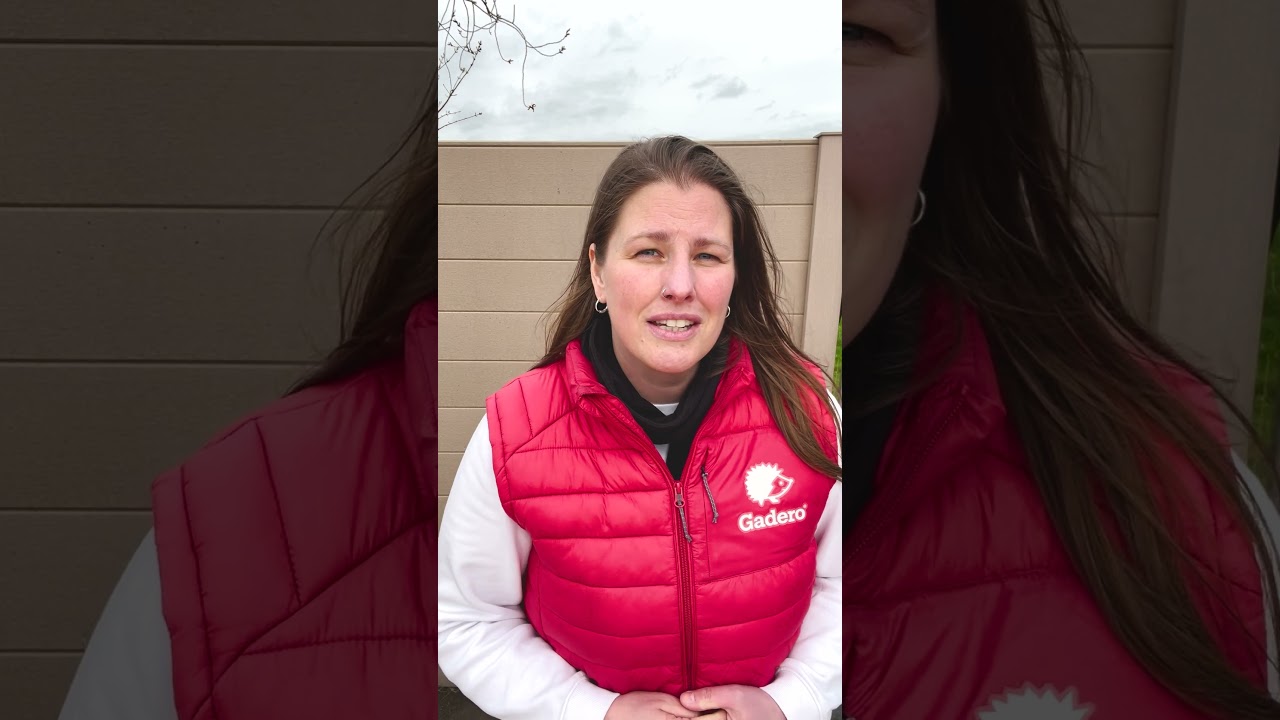 Hoe onderhoud je composiet?