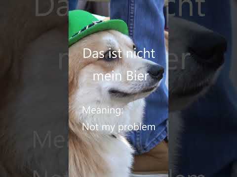 Bad Translations: German to English 1 #shorts