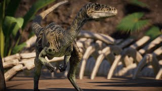 Novel Coelurus at Jurassic World Evolution 2 Nexus - Mods and community