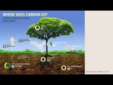 Adaptation versus mitigation