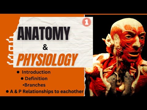 Anatomy And Physiology | Types Of Anatomy And Physiology @Nurse_To_Nurse