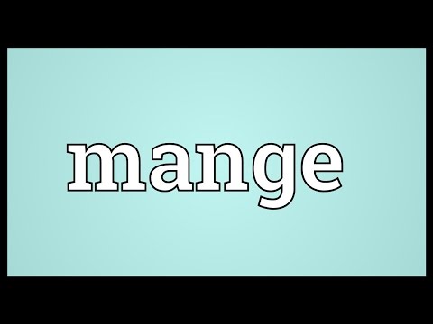 Mange Meaning