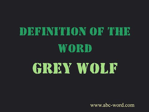 Definition of the word "Grey wolf"