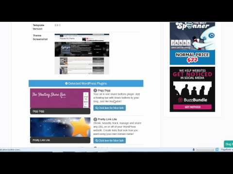 WordPress Theme and Plugins Detector