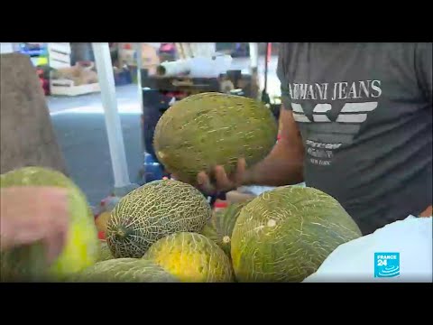 Heatwave in France: What diet should you adopt to cope with the extreme heat?