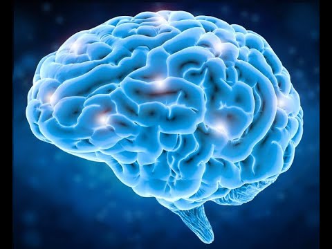 What is Psychological Imprinting - and why does it Matter? (Read the Description First!)