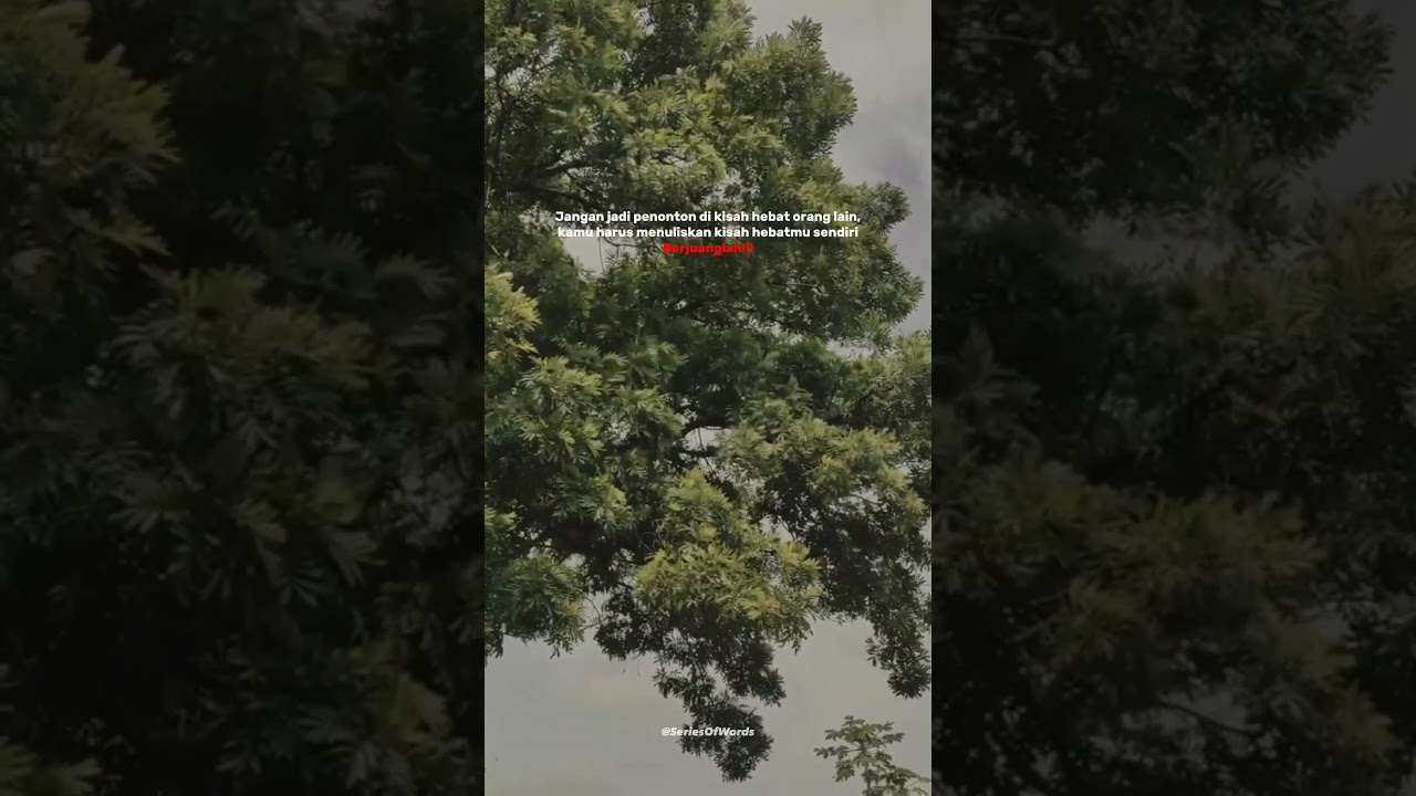 #seriesofwords #rangkaiankata #katakata