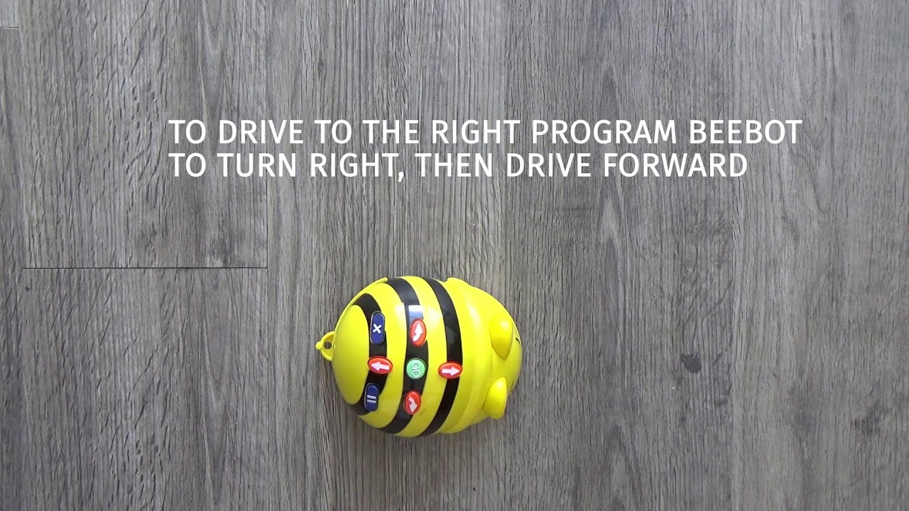 3. BeeBots - Controls