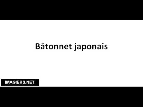 Pronounce French with Vincent # Bâtonnet japonais