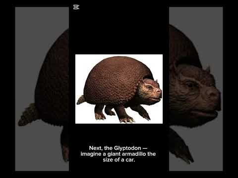 #ExtinctAnimals#WeirdAnimals#StrangeCreatures#AnimalFacts#NatureIsWild#ScienceFacts#AmazingAnimals