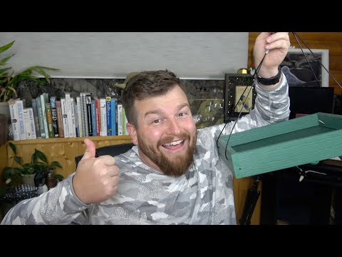 Flocking Reviews: The Woodlink GoingGreen Platform Bird Feeder - AKA the BEST bird feeder