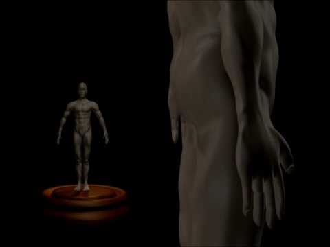 Human and Troll