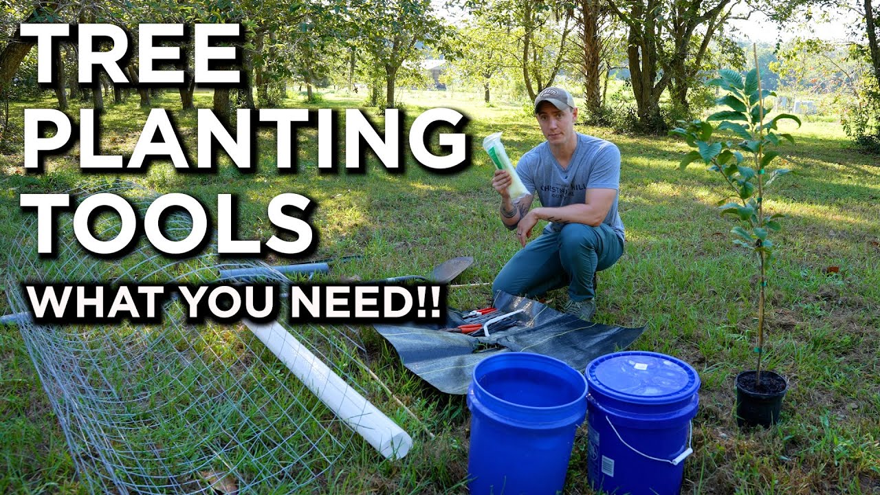 The Essential Tools For A Successful Tree Planting