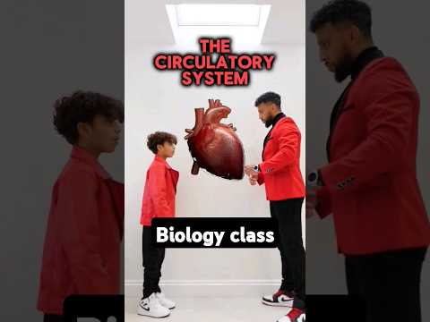 GCSE Biology - Circulatory System