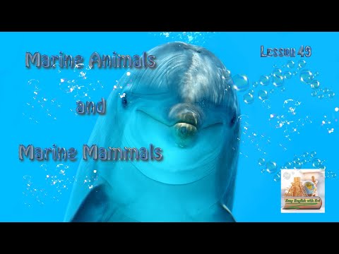 Lesson 49: Marine Mammals and Marine Animals