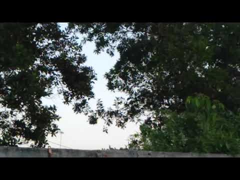 Final Approach LION AIR JT316 PK-LHS (B739) | Bersiap Mendarat di Runway 28 Bandara Syamsuddin Noor