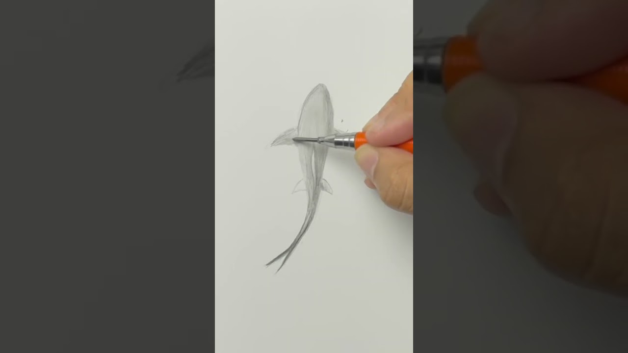 Como dibujar un tiburón 3D #shorts