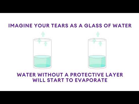 Dry Eye, Tear Evaporation & Lipid Drops