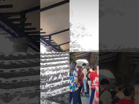 #MagellansCross #minorbasilicaoftheholychildcebu #CebuCity #KickLivestream 2024