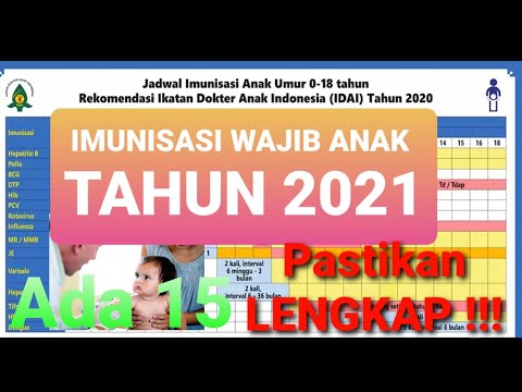 JADWAL IMUNISASI ANAK BAYI TERBARU DARI IDAI! BUNDA HARUS TAU !
